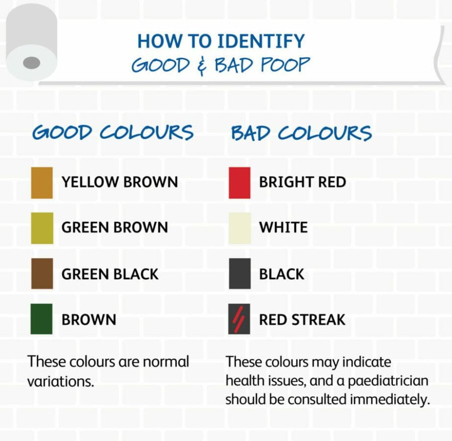 The Scoop On Poop - Friso Good Poop Advisory Panel